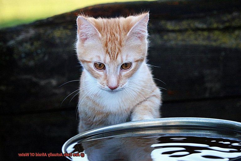 How Are Bike Frames Welded? - The Welding Guru